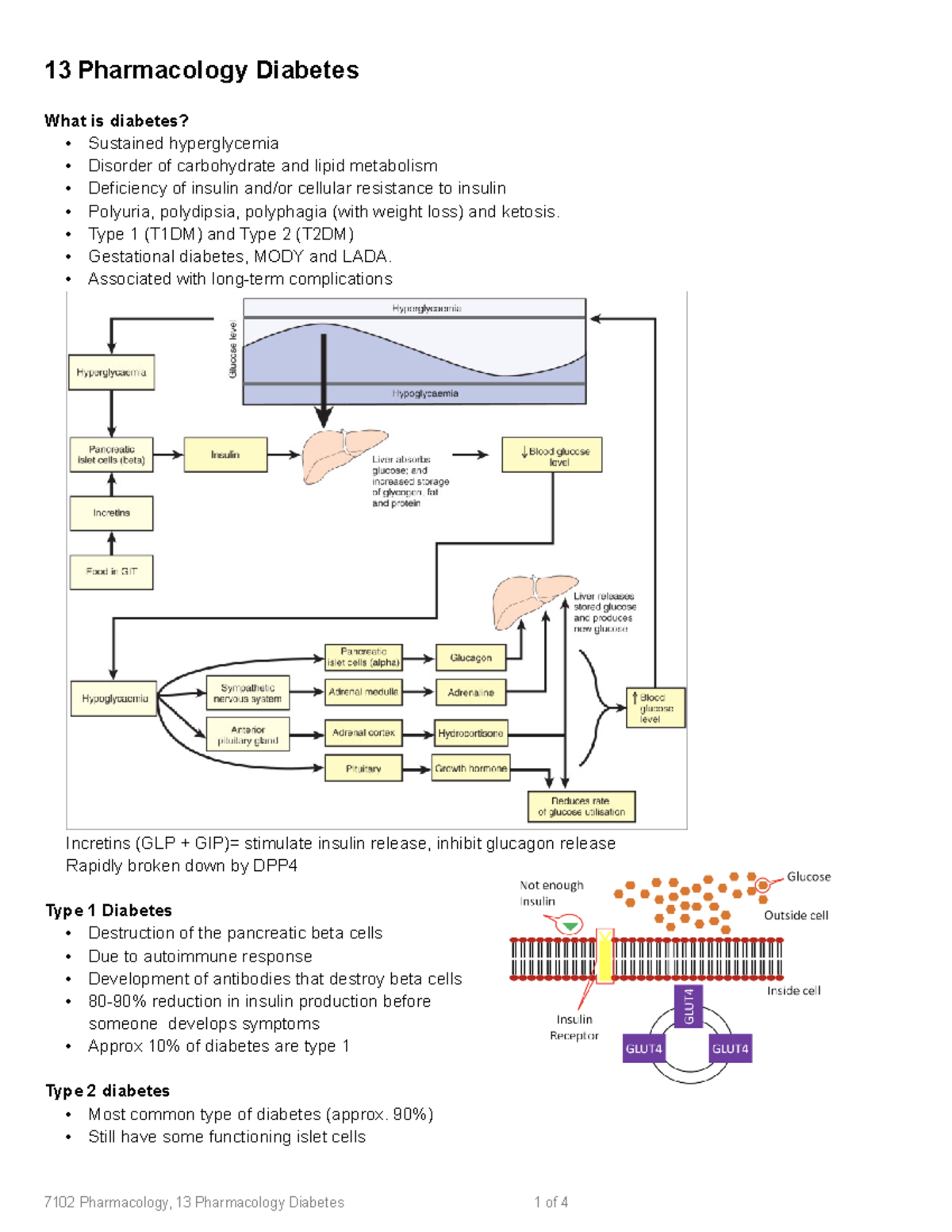 13 Pharmacology Diabetes - 13 Pharmacology Diabetes What is diabetes ...