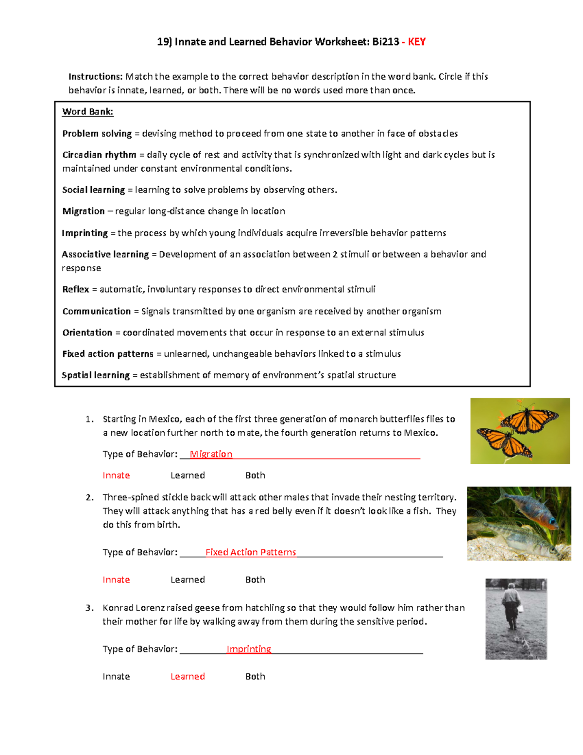 19 Learning Worksheet Key - 19) Innate and Learned Behavior Worksheet ...