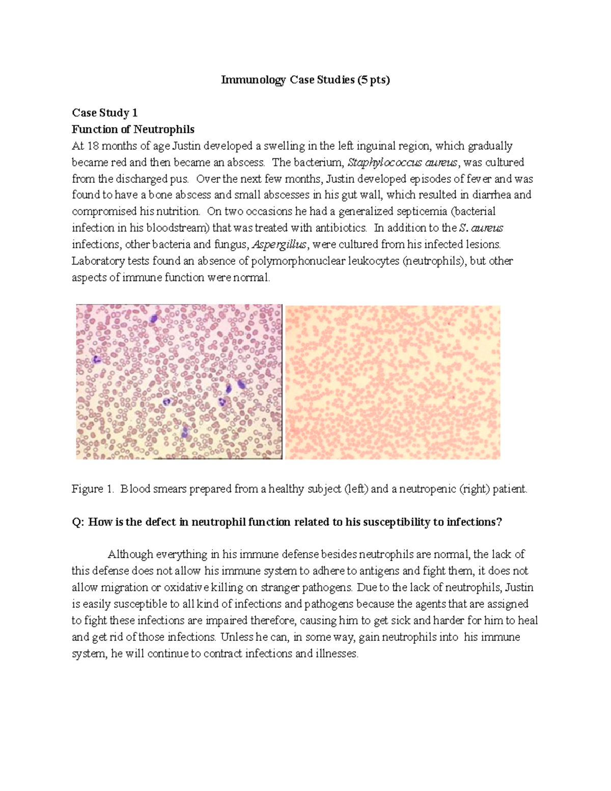Immunology Case Studies (5 pts) - The bacterium, Staphylococcus aureus ...