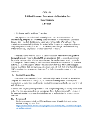 CYB 250 Module Six Activity gaby nz - Module Six Activity BYOD Policy ...