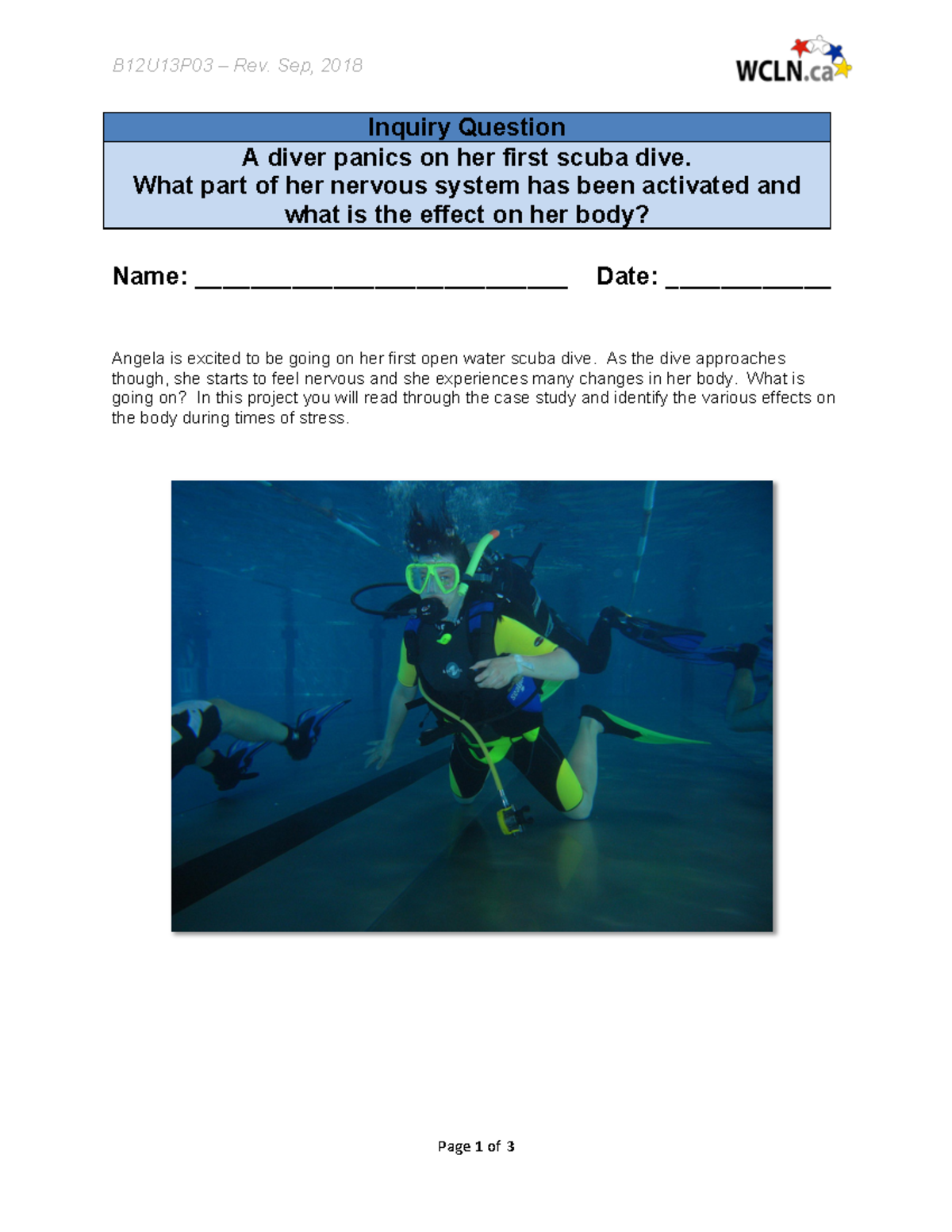 Unit 8 Project Choice 5 - wok - B12U13P03 – Rev. Sep, 2018 Page 1 of 3 ...