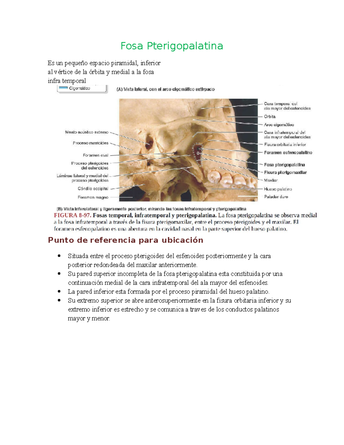 Fosa Pterigopalatina - Su pared superior incompleta de la fosa ...