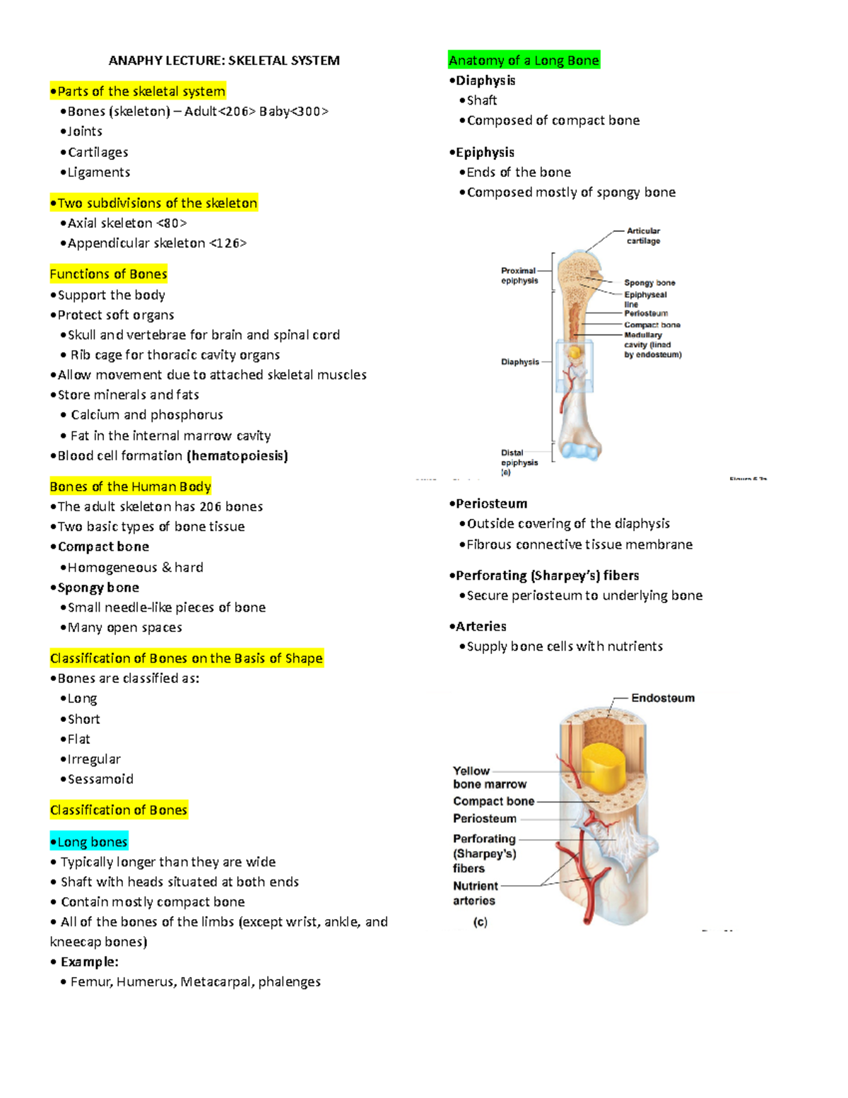 Nursing - Anatomy and Physiology - Lesson-5 - ANAPHY LECTURE: SKELETAL ...