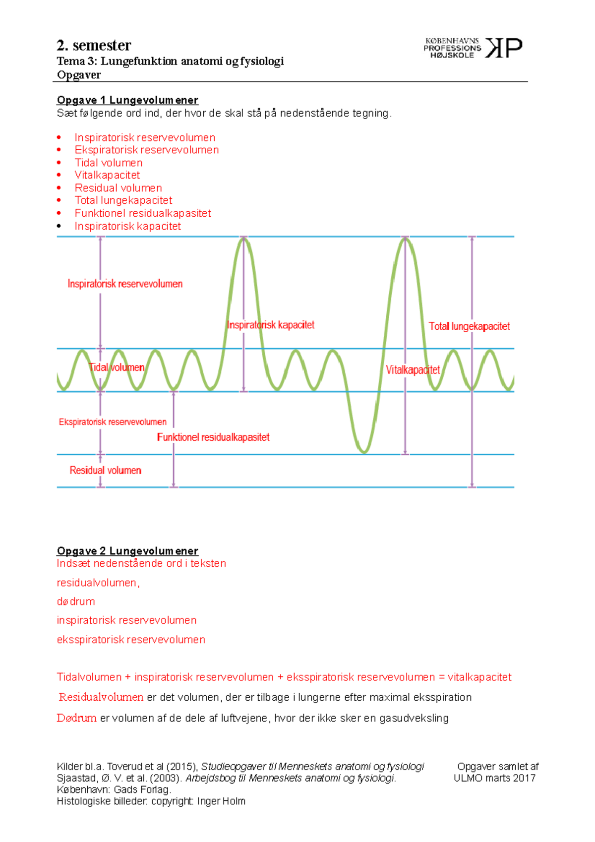 Lungernes anatomi og fysiologi opgaver - Tema 3: Lungefunktion anatomi ...