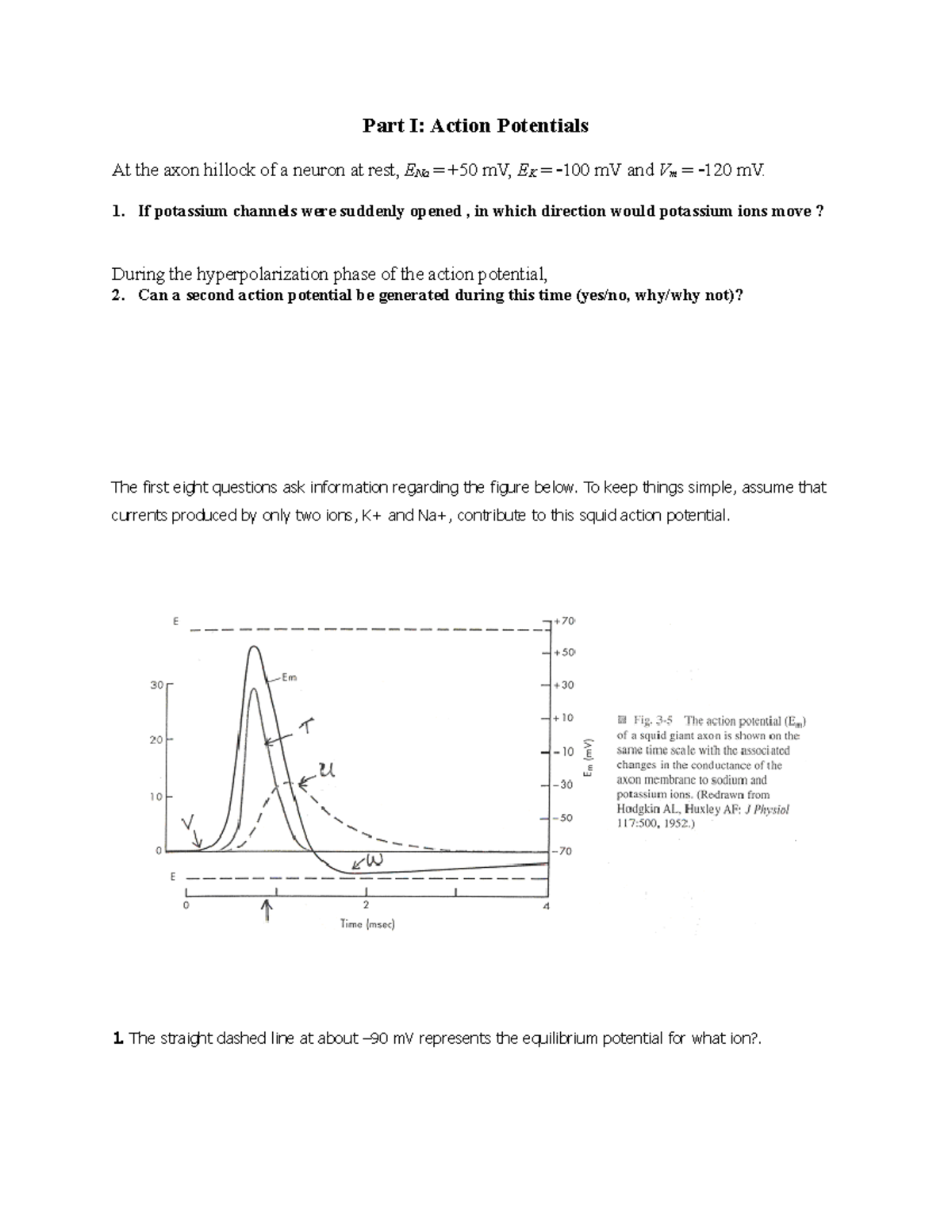 Difficult neuro questions - Part I: Action Potentials - Studocu