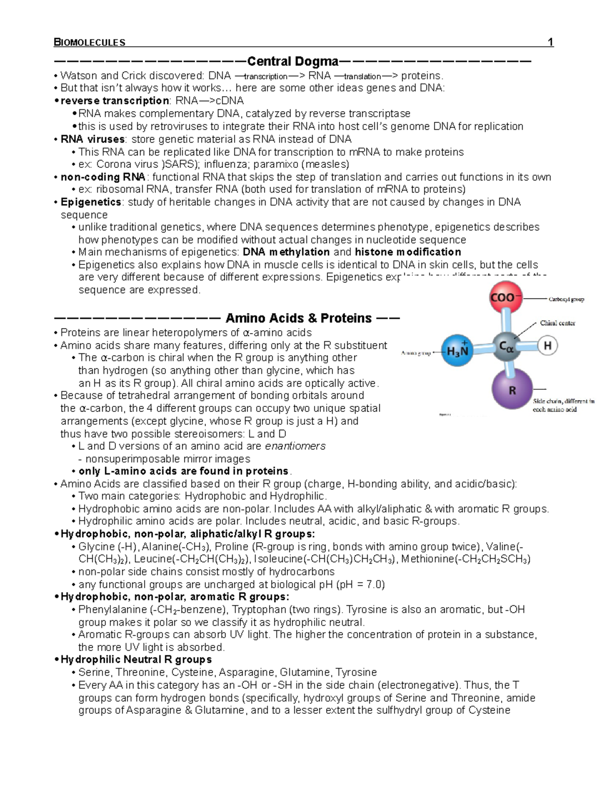 Copy of B⁄B (1 - Biomolecules) [controlled docx ...
