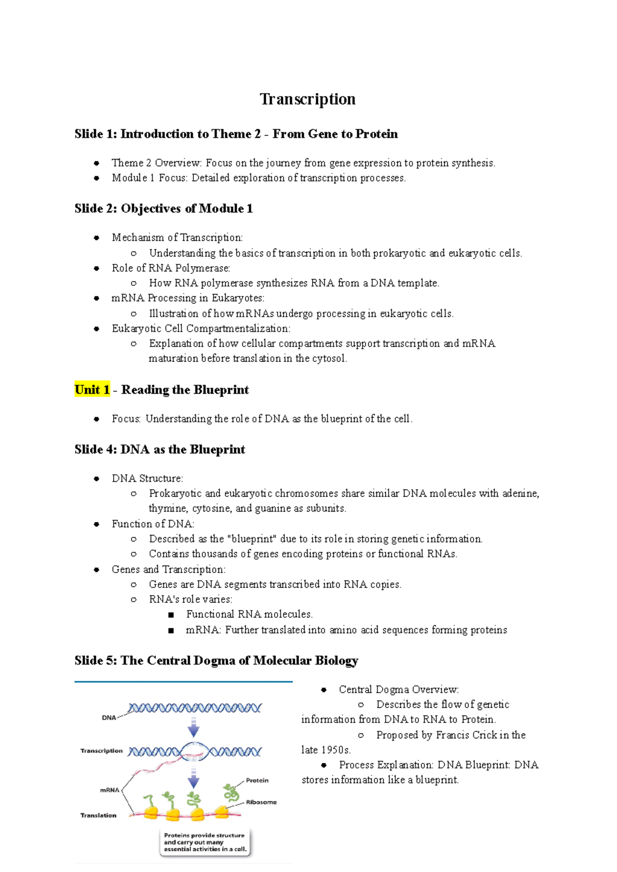 Transcription - notes - Theme 2 Module 1 - Transcription Slide 1 ...