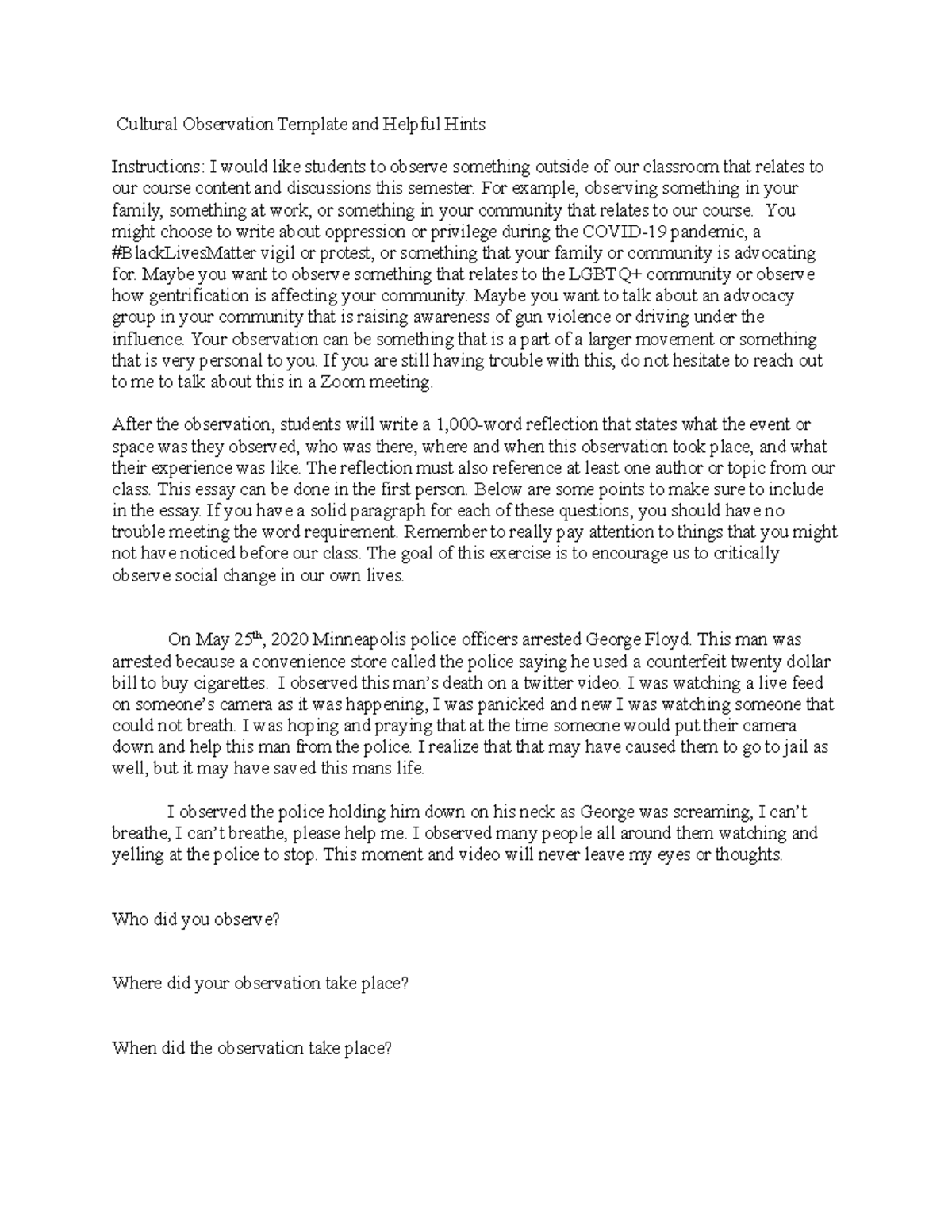 Laboure Cultural Observation - Cultural Observation Template and ...