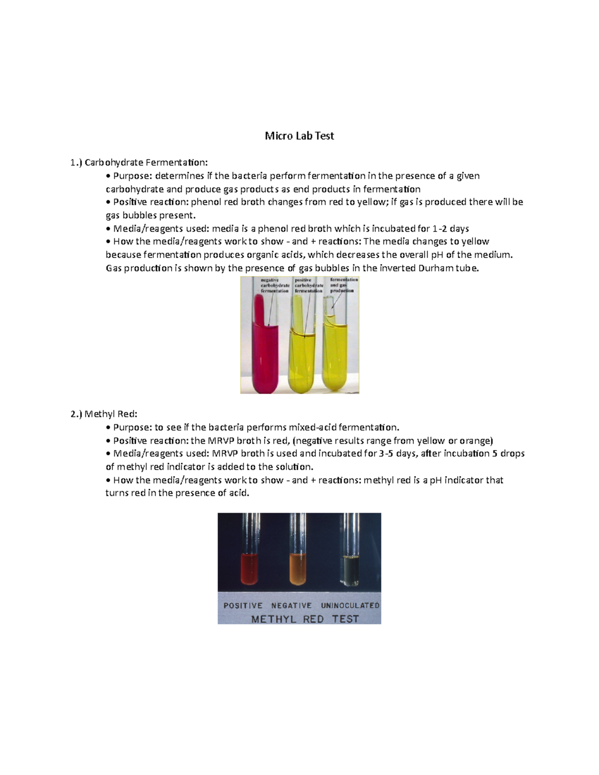 Micro Lab Test - ) Carbohydrate Fermentation: • Purpose: determines if ...