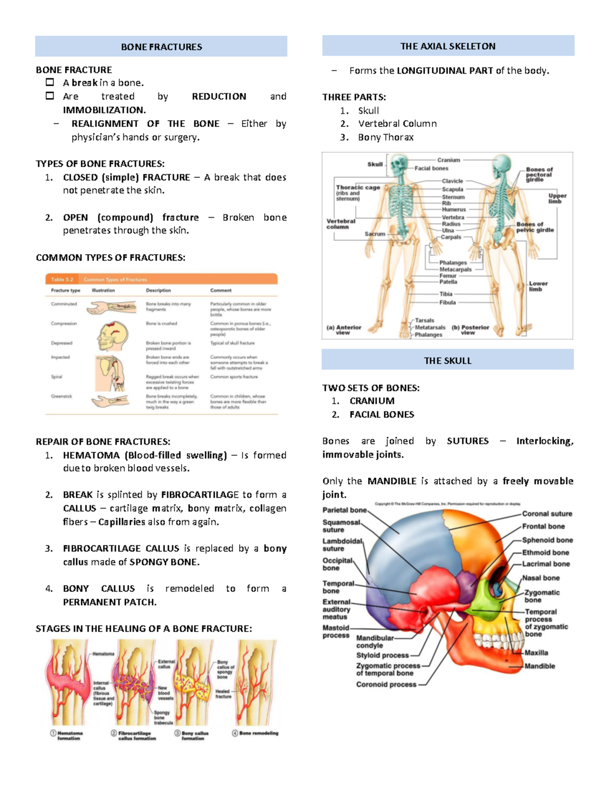 Skeletal System - BONE FRACTURE A break in a bone. Are treated by ...