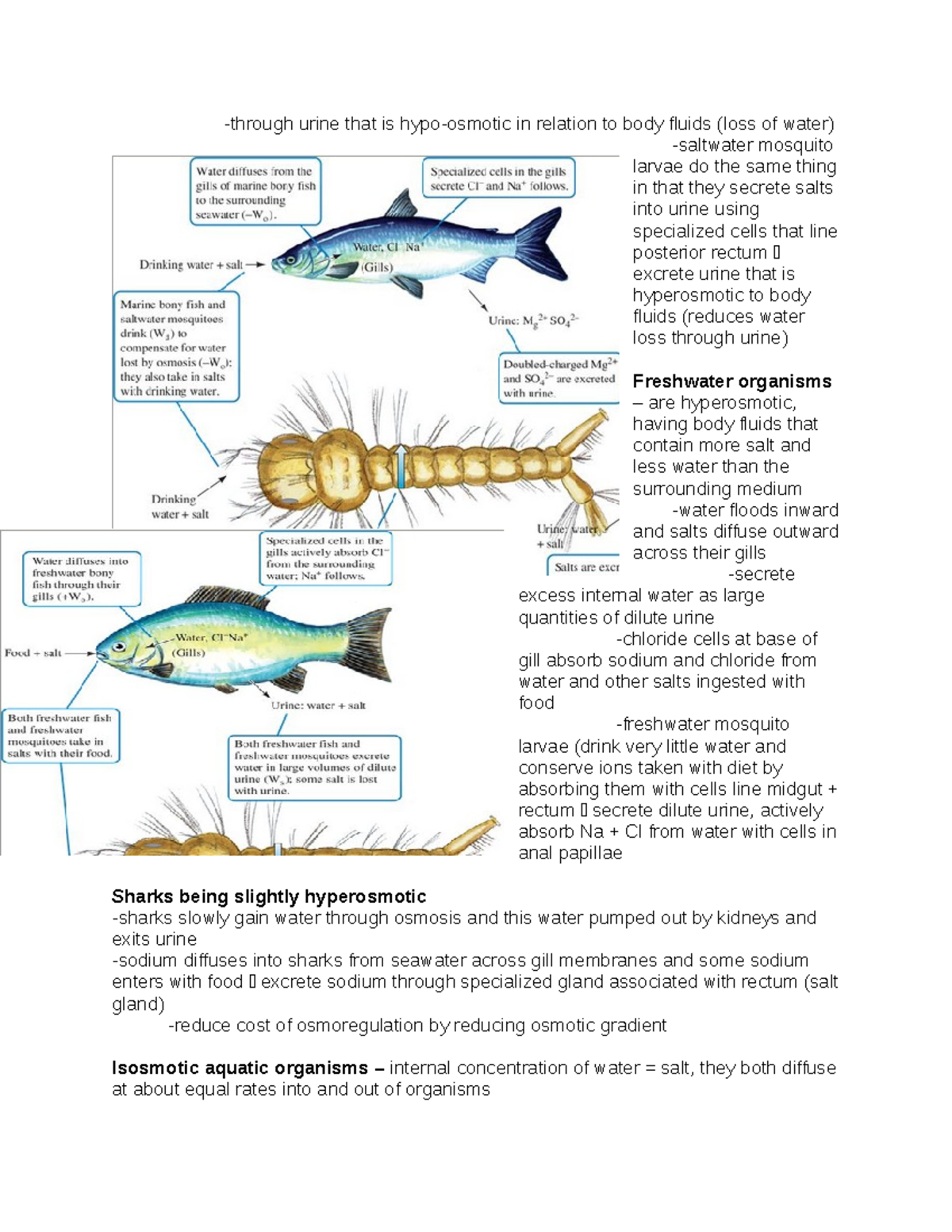 Ecology notes-7 -through urine that is hypo-osmotic in relation to body ...