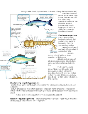 Ecology notes-1 - Chapter 1: Introduction to Ecology Ecology – branch ...