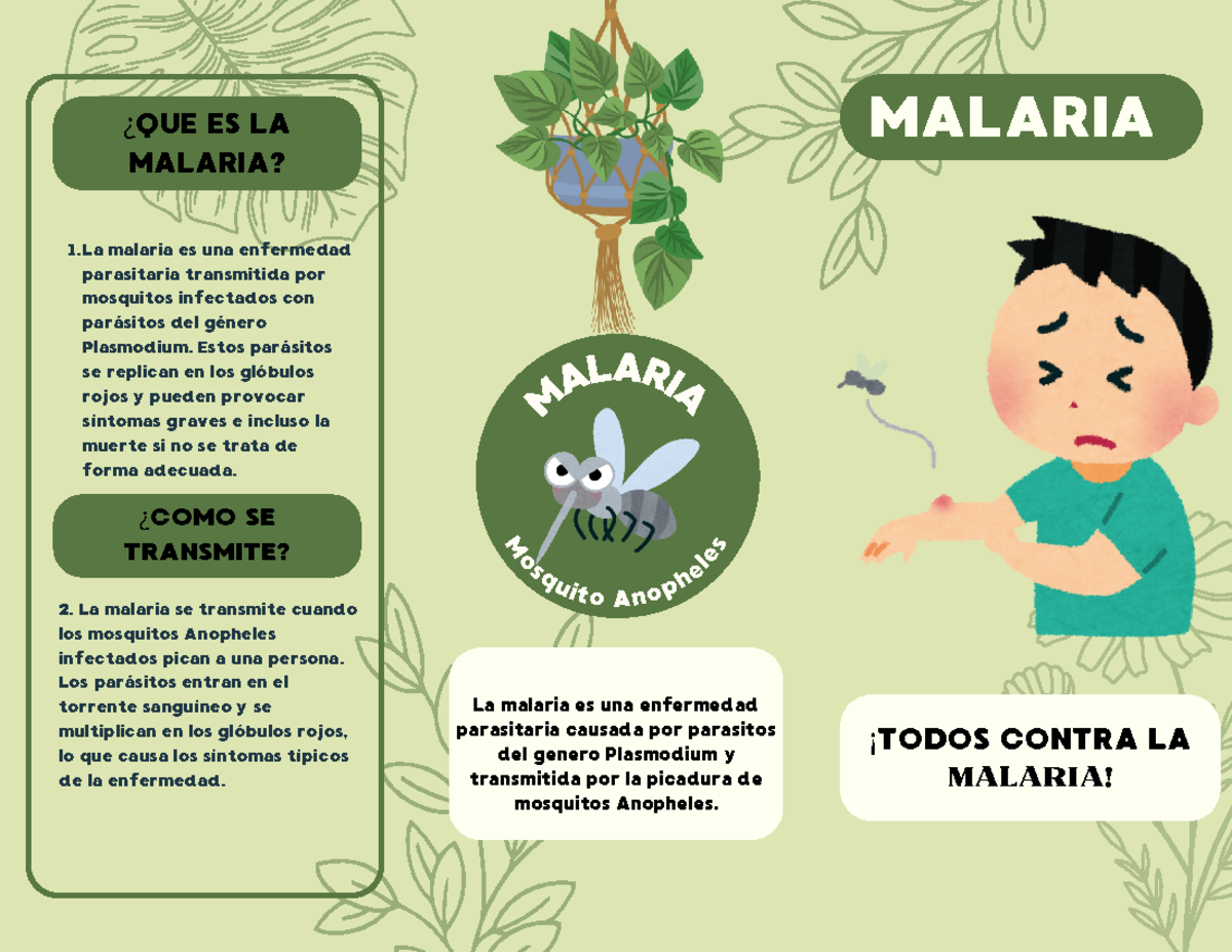Folleto tríptico consejos para cuidar a tus plantas ilustrado verde - ¡TODOS CONTRA LA MALARIA ...