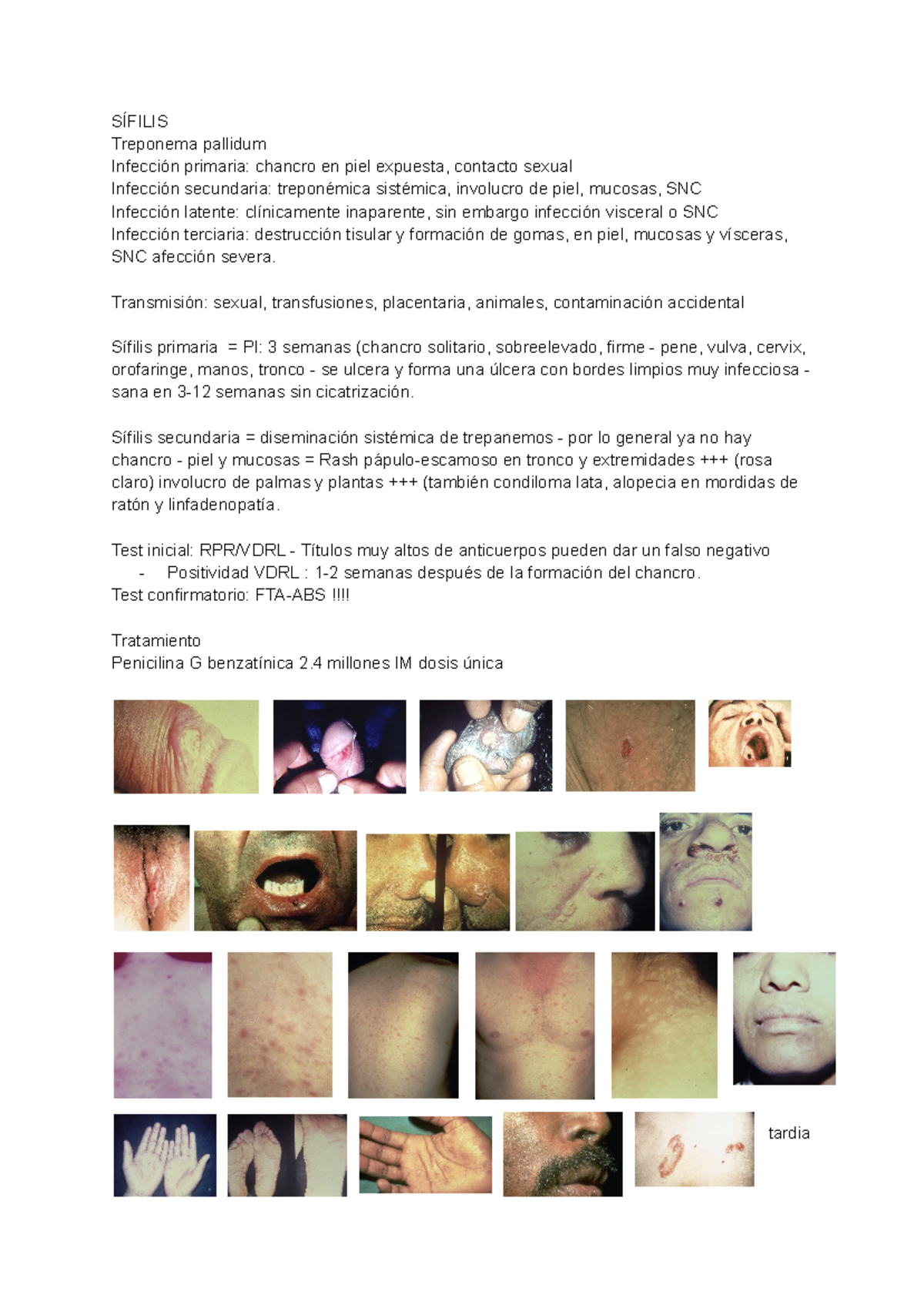Derma P2 - notas de clase - SÍFILIS Treponema pallidum Infección ...