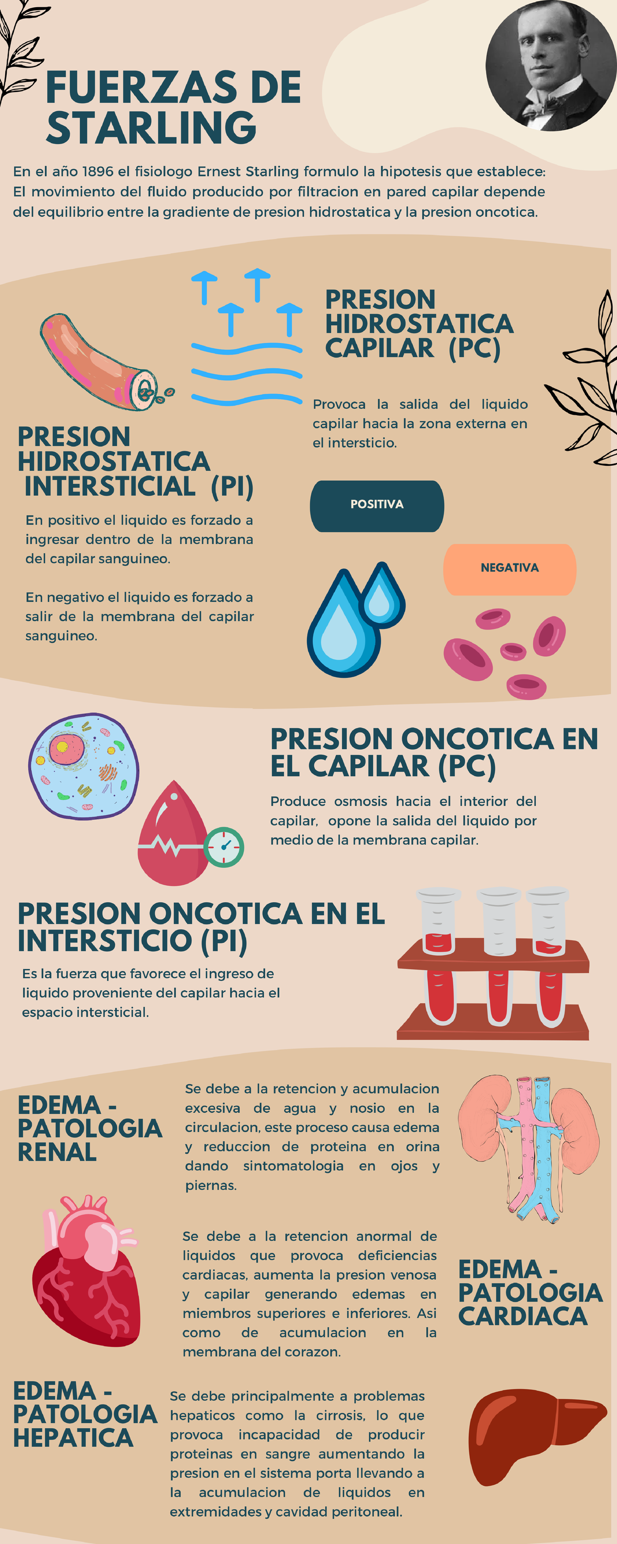 Fuerzas de Staling y Edema - Medicina - Studocu