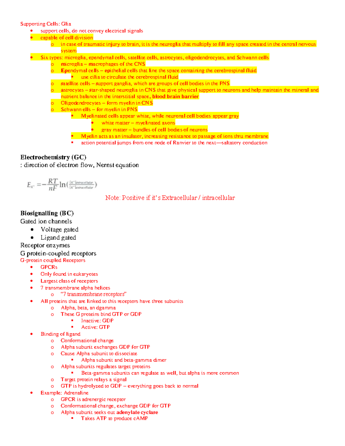 Lecture notes detailed content (1) 8-8 - Supporting Cells: Glia ...