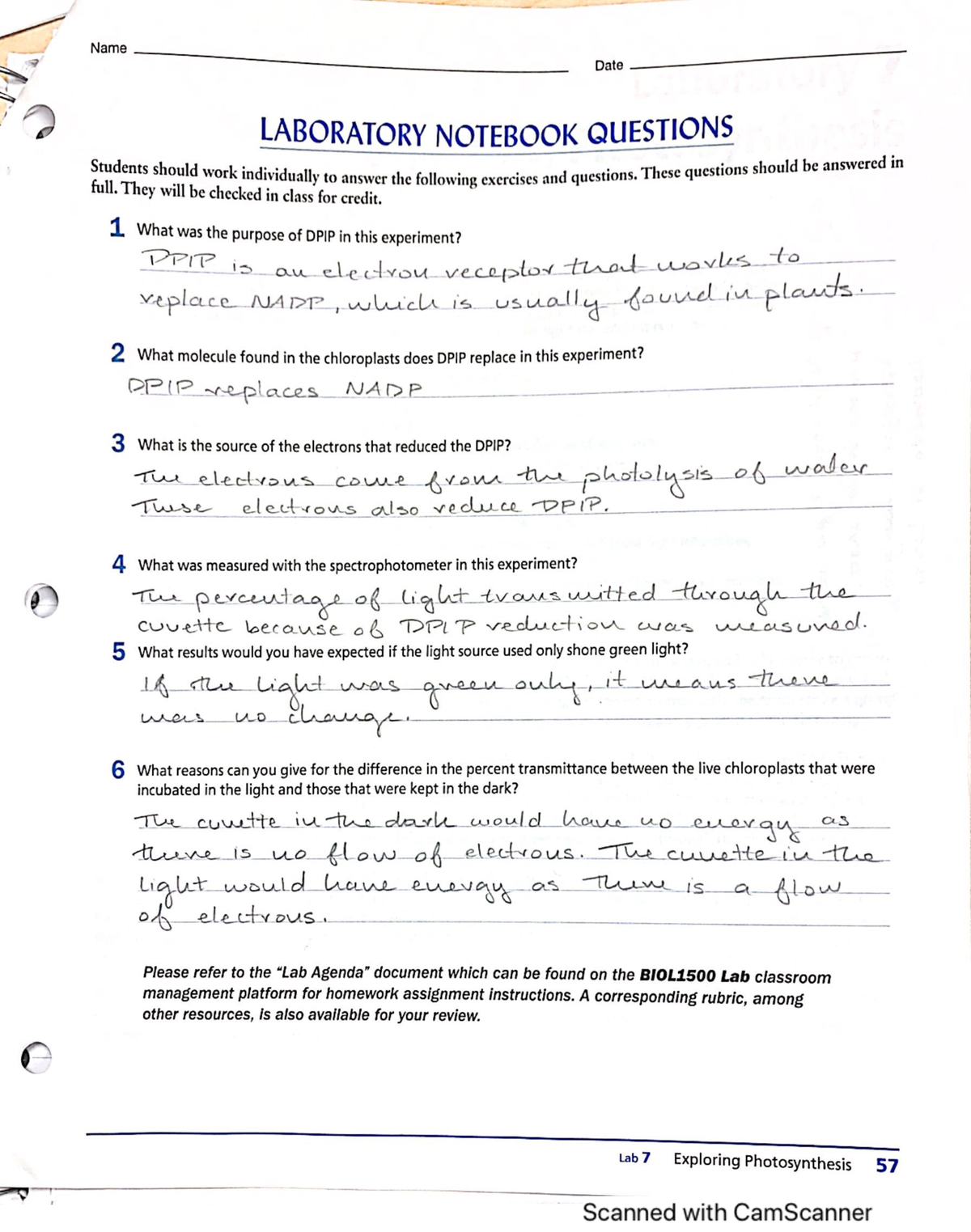 Lab Question #7 - BIOL 1500 - Studocu