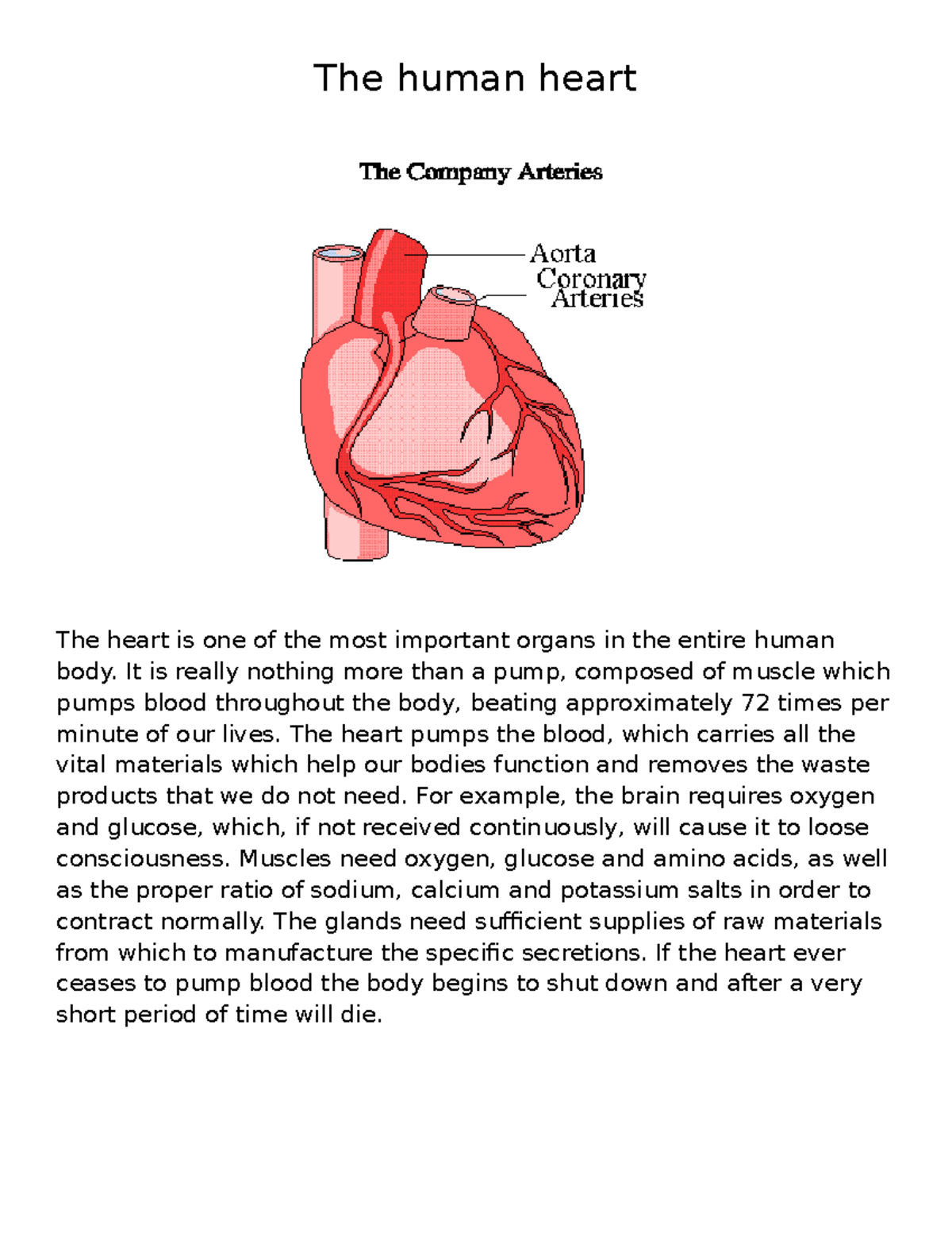 The Human Heart anatomy notes - The human heart The heart is one of the ...