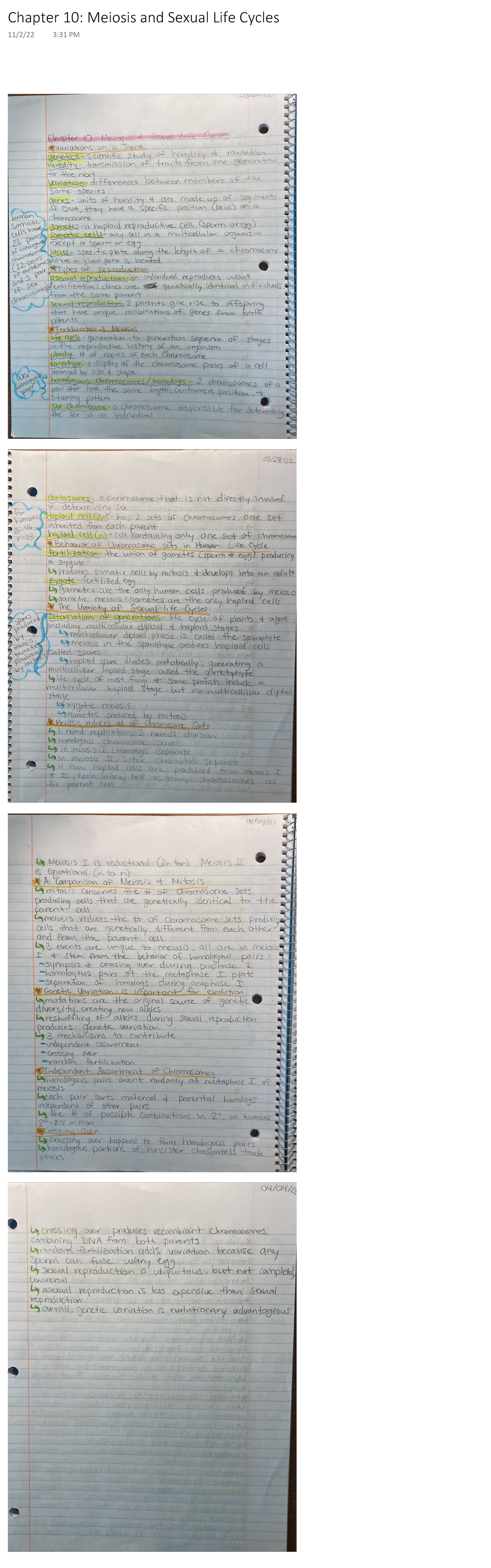 Chapter 10 Meiosis and Sexual Life Cycles - Chapter 10: Meiosis and ...