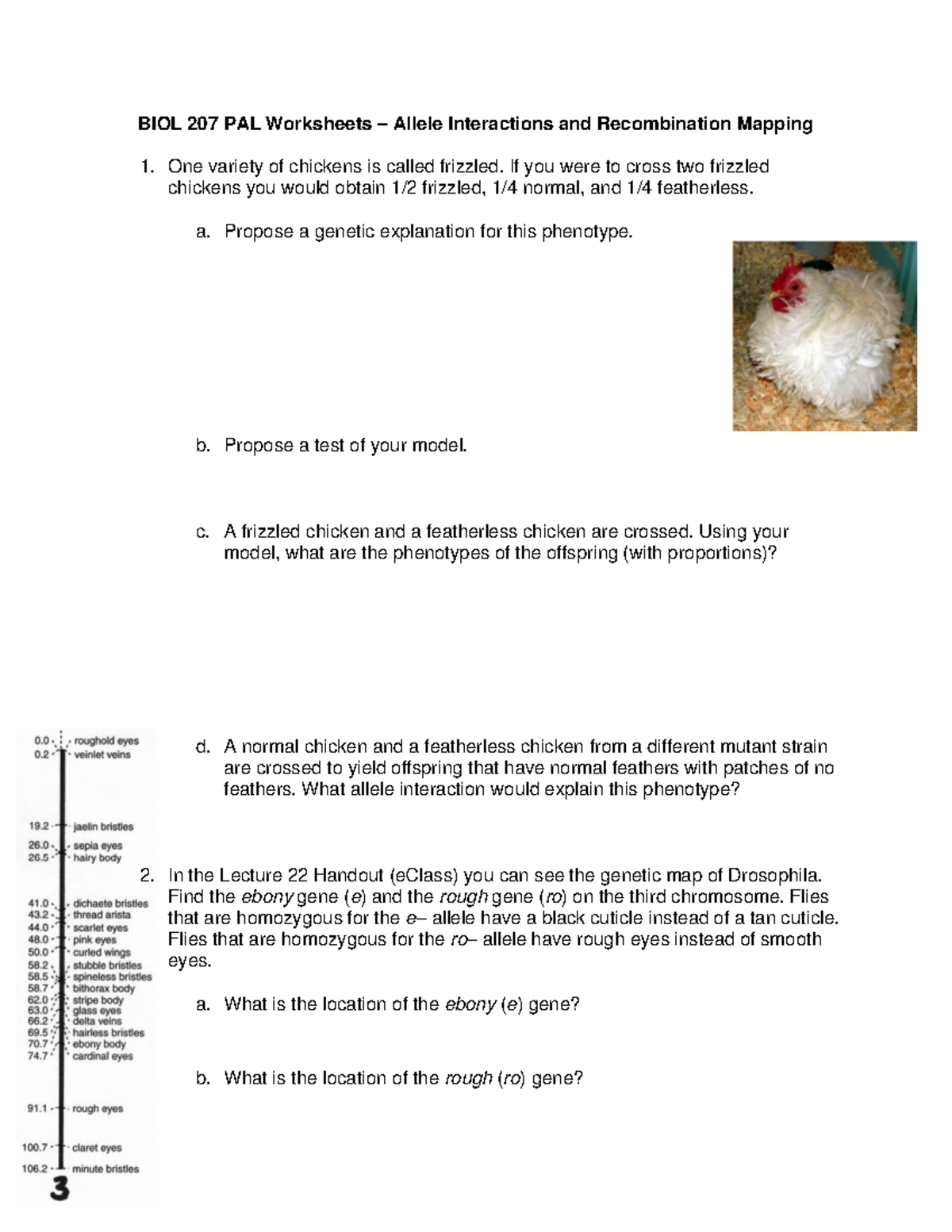 Allele Interactions Recombination Mapping Worksheet - BIOL 207 PAL ...