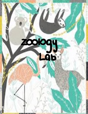 Zoology LAB Notes - Plathyhelminthes and Nematoda 10x 10x Tapeworm ...