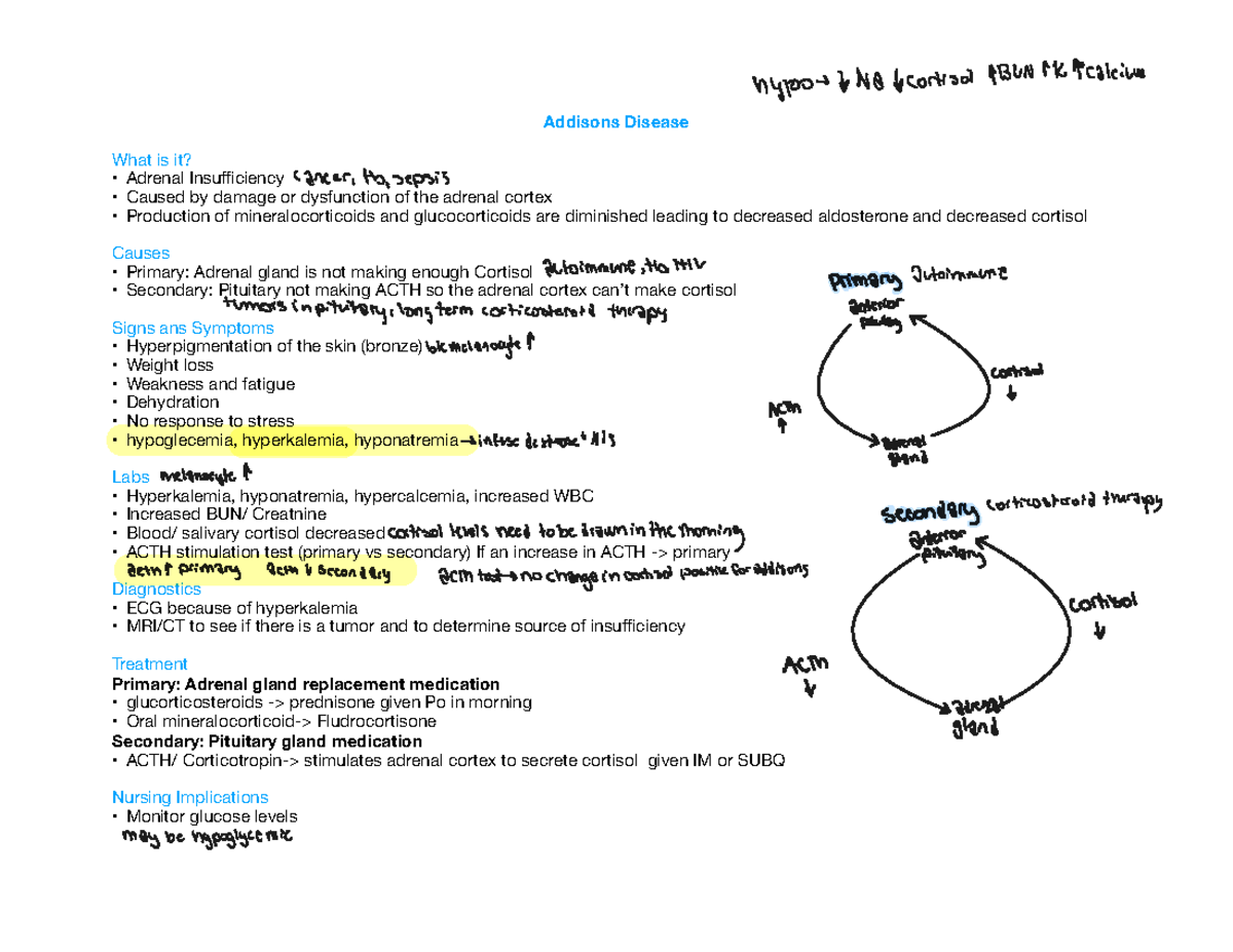 Endocrine disorders Study guide Exam 2 - ####### Addisons Disease ...