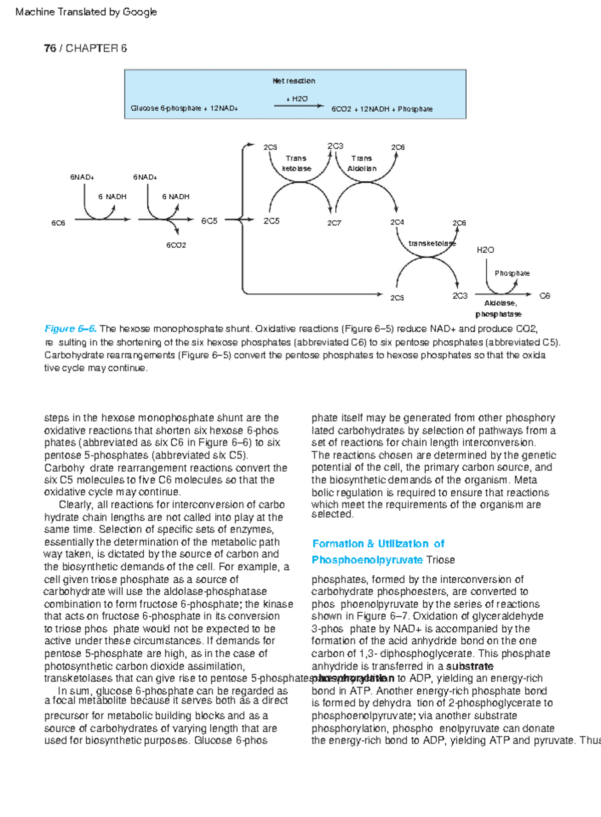 Jawetz, Melnick Adelberg's Medical Microbiology-30 - 2C3 C 6C5 2C 2C ...