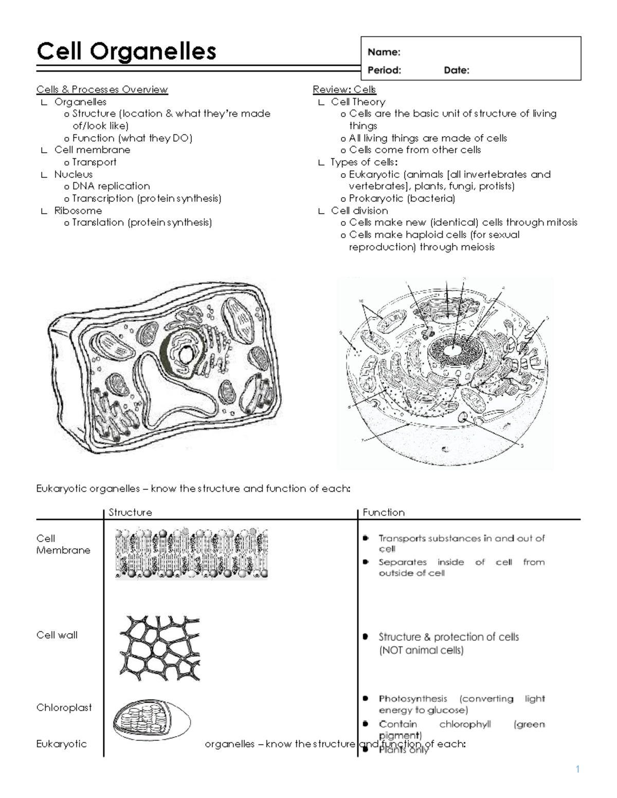 1.Organelles - student handout - Cell Organelles Cells & Processes ...