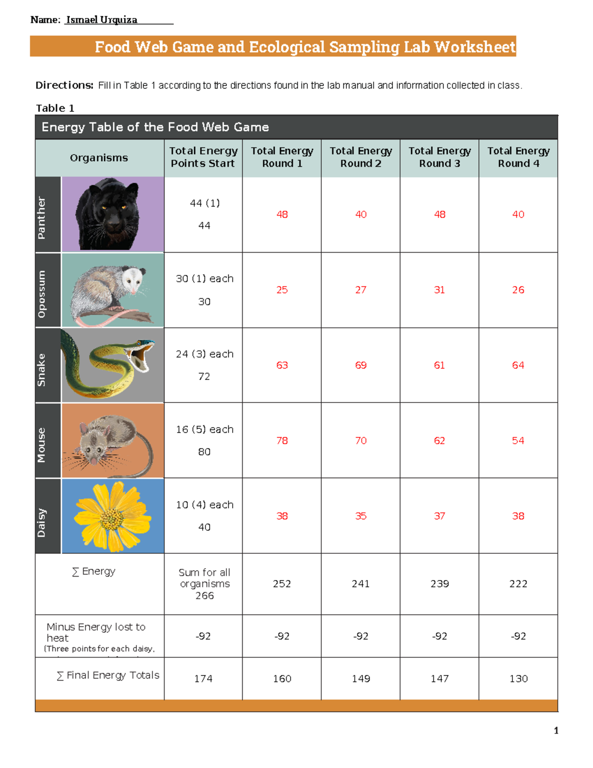 Worksheet Ecology - Food Web Game and Ecological Sampling Lab - Food ...