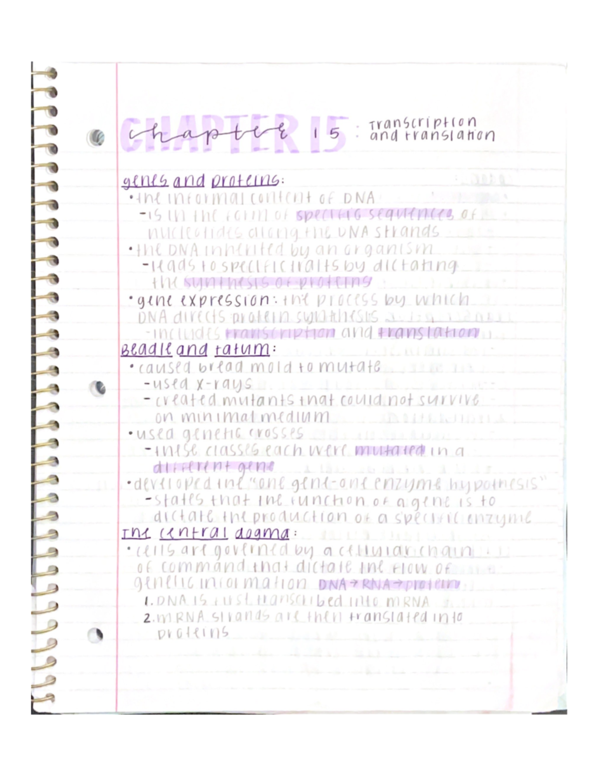 Bio 111 chapter 15 - transcription and translation - BIOL 111 - Studocu