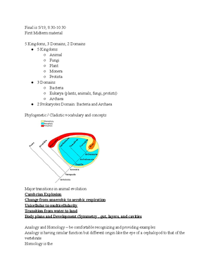 Phylum and Class chart - Phylum: Mollusca Class: Gastropods (Snails and ...