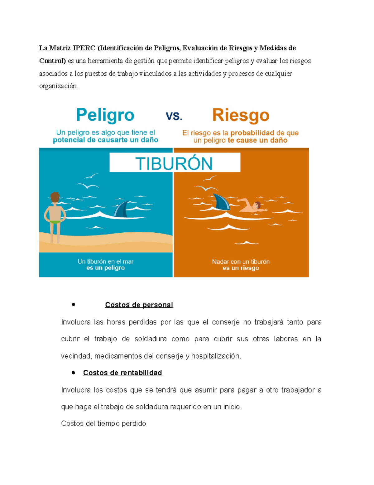 La Matriz Iperc - La Matriz IPERC (Identificación de Peligros ...