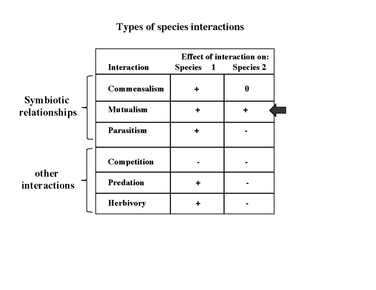 Filled in Module 8 part A - Effect of interaction on: Interaction ...