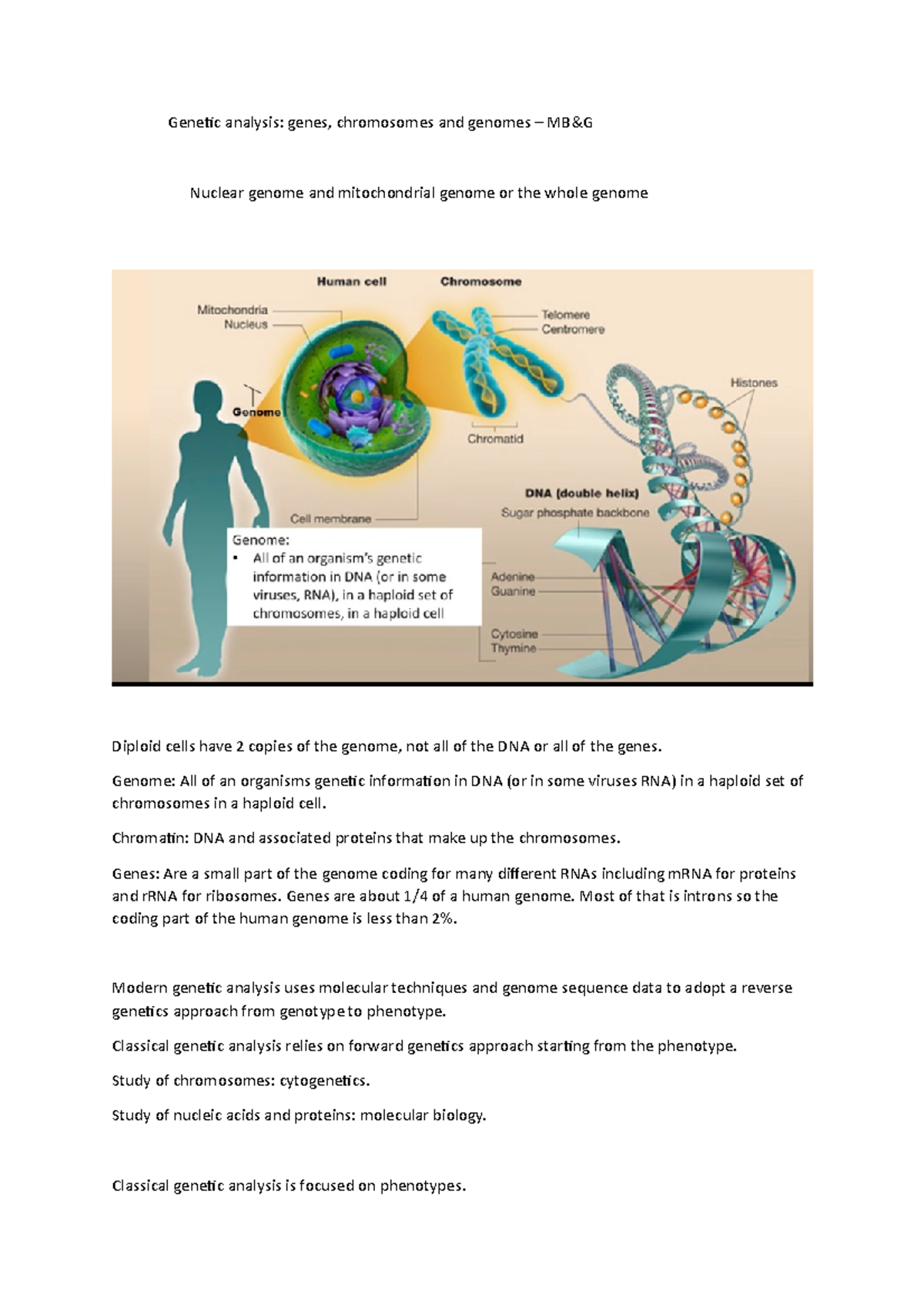 Genetic analysis - Lecture notes 1 - Genetic analysis: genes ...