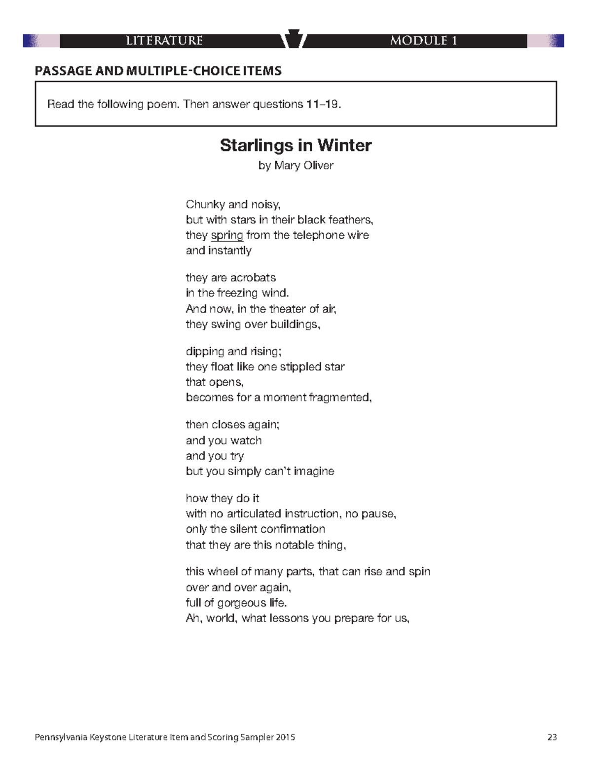 Starlings in Winter Keystone Practice - Pennsylvania Keystone ...