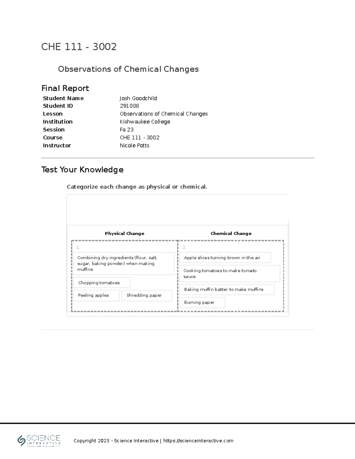CHE1113002 Observationsof Chemical Changes 291008 - Student Name Josh ...