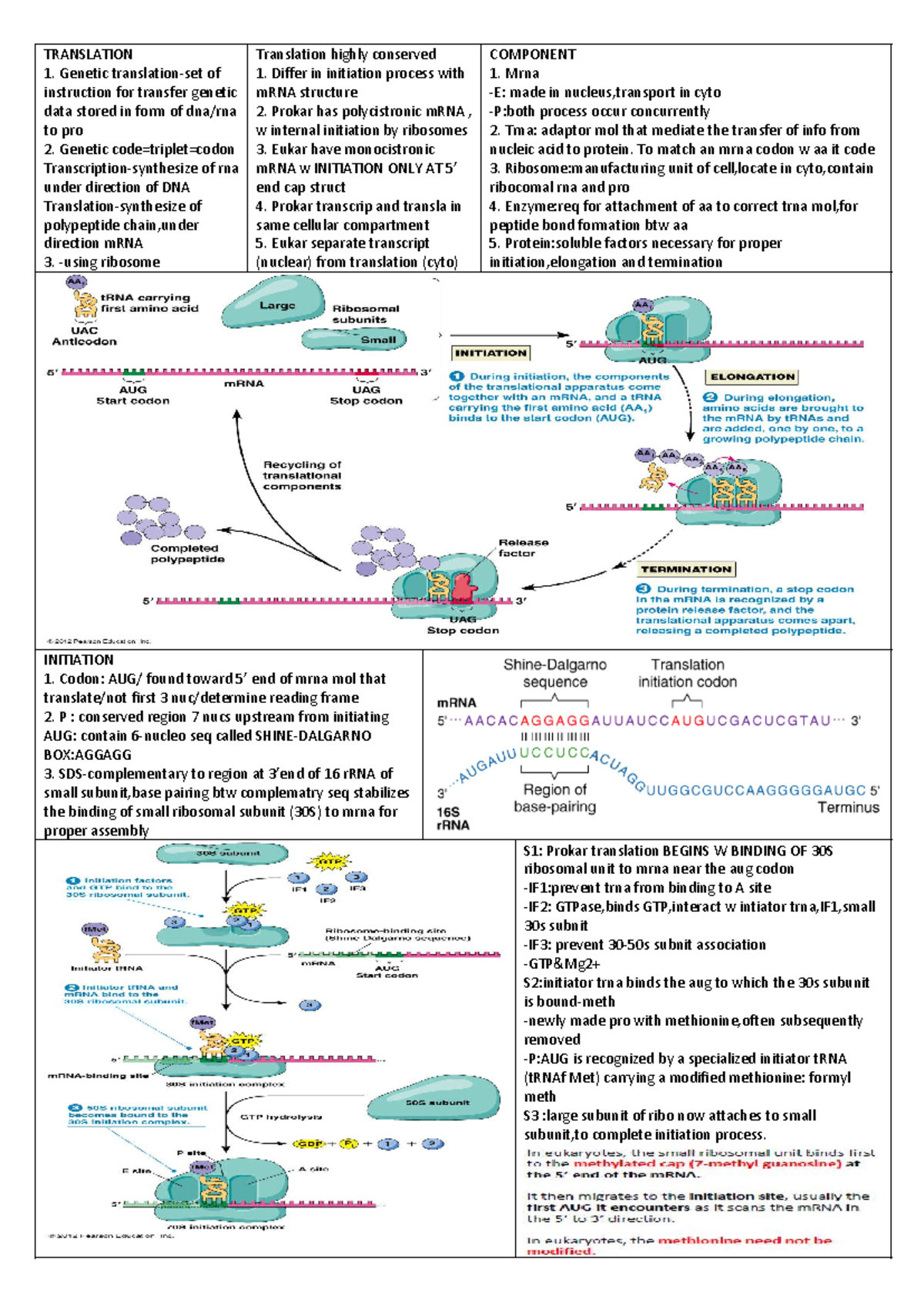 NOTES BMS 531 biochemistry - TRANSLATION Genetic translation-set of ...