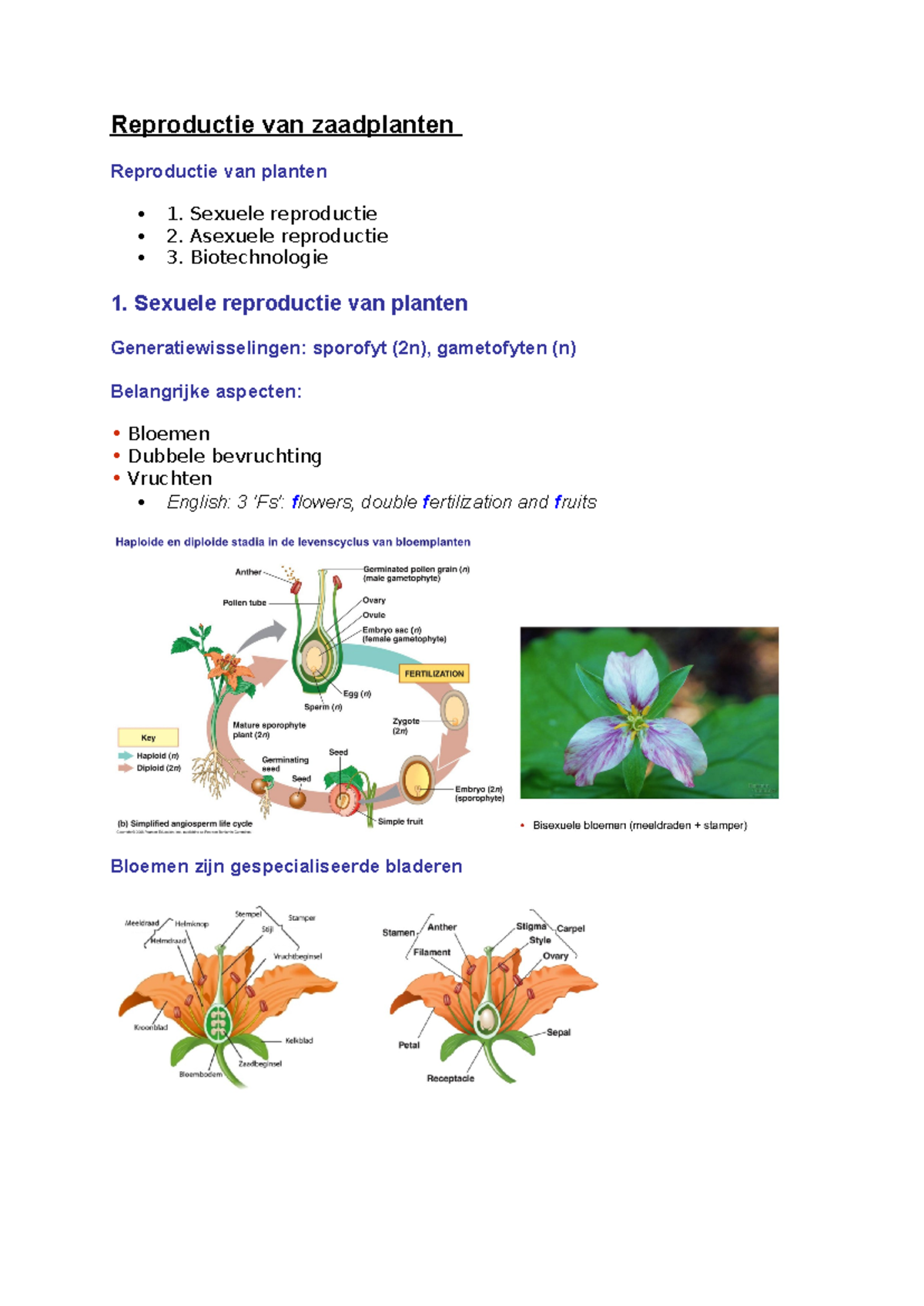 HOC9 reproductie van zaadplanten - Reproductie van zaadplanten ...