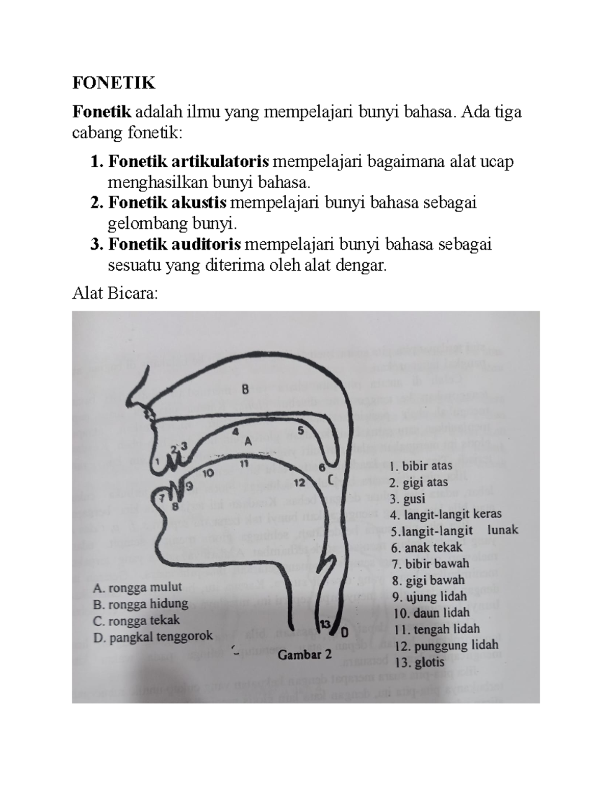 Fonetik-Fonologi - Materi Fonetik-Fonologi mata kuliah Pengantar Linguistik semester 1 2022/2023 ...