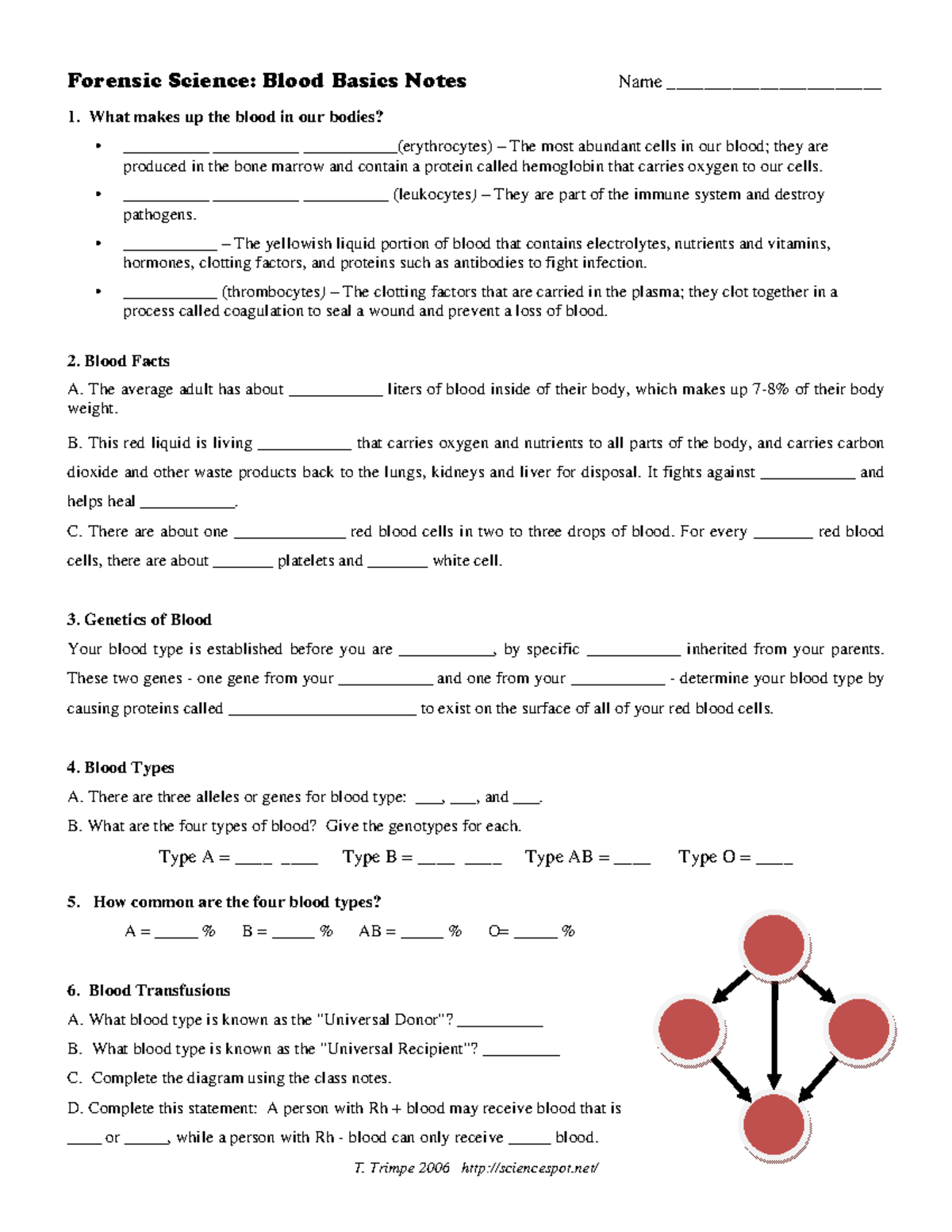 Forensics in Science - T. Trimpe 2006 sciencespot/ Forensic Science ...