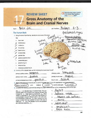 Active Learning Template: Basic Concept: Mental Health - ACTIVE ...