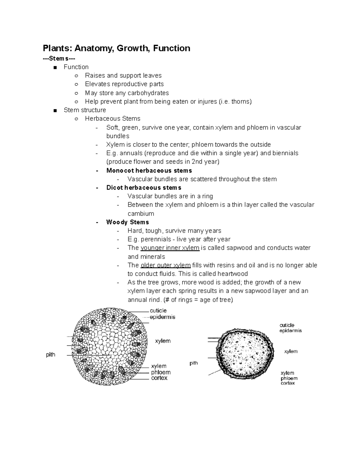 Plants Anatomy, Growth, Function - Plants: Anatomy, Growth, Function ...