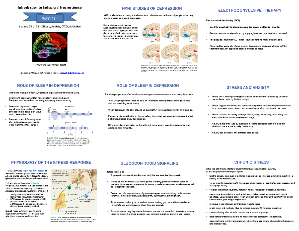 Association Disorders - Professor Jonathan Britt Questions? Concerns ...