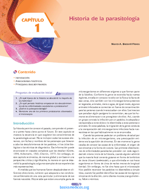 Phylum-Nemathelminthes - PhylumNemathelminthes ClaseChromadorea ...