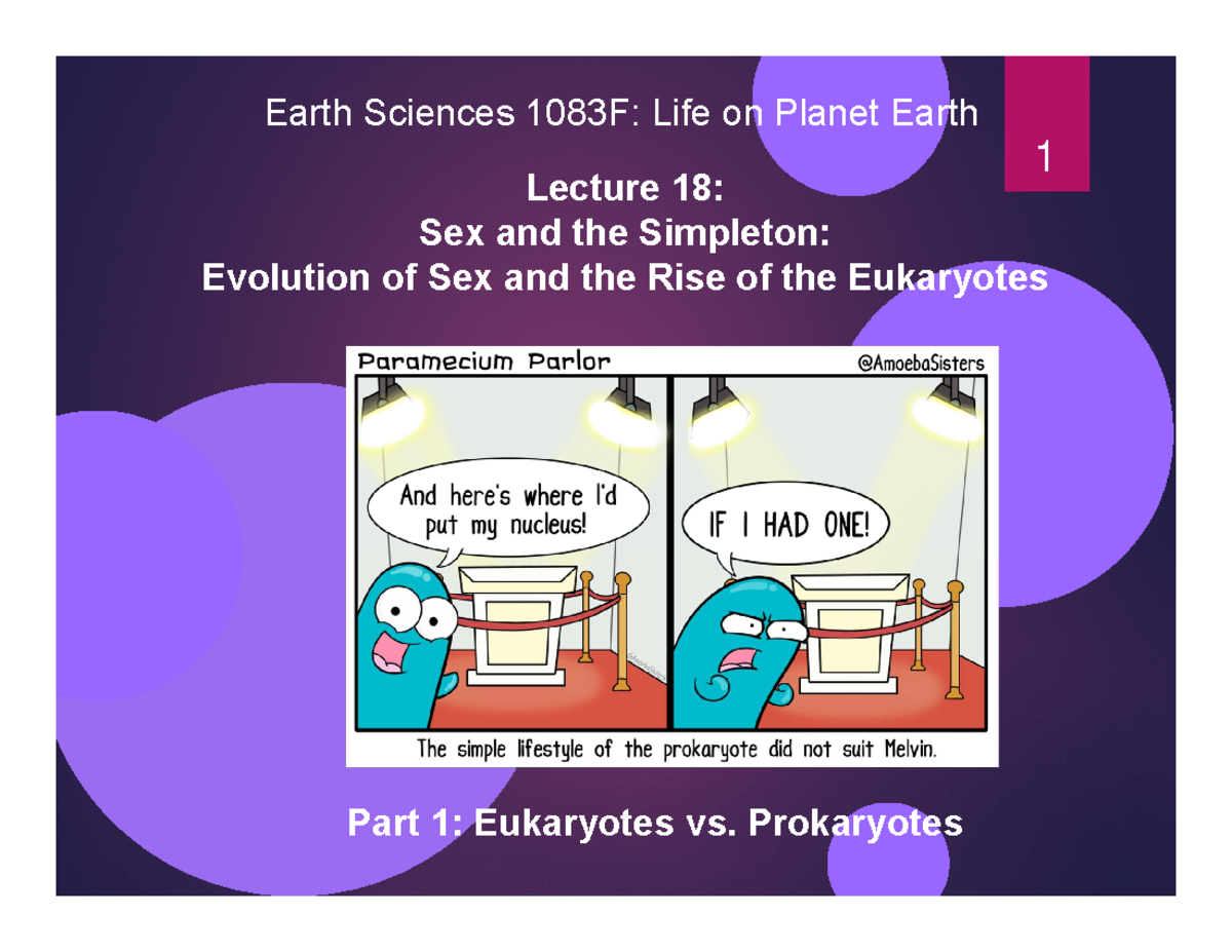 ES1083F Lecture 18 slidescombined - Lecture 18:Sex and the Simpleton ...