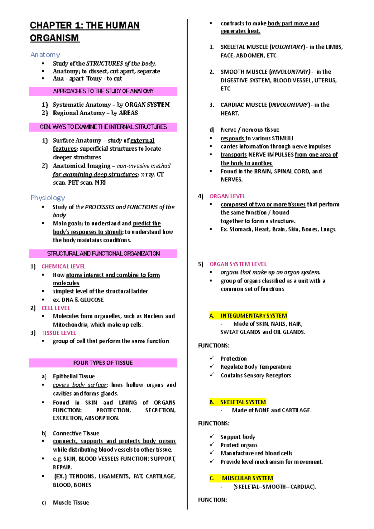 Chap 1-anaphy - anaphy - CHAPTER 1: THE HUMAN ORGANISM Anatomy Study of ...