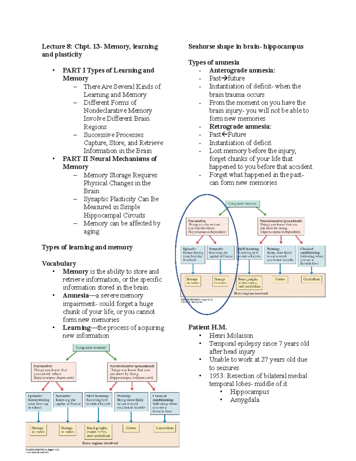 Lecture 8- Memory, learning and plasticity - Lecture 8: Chpt. 13- Memory, learning and ...