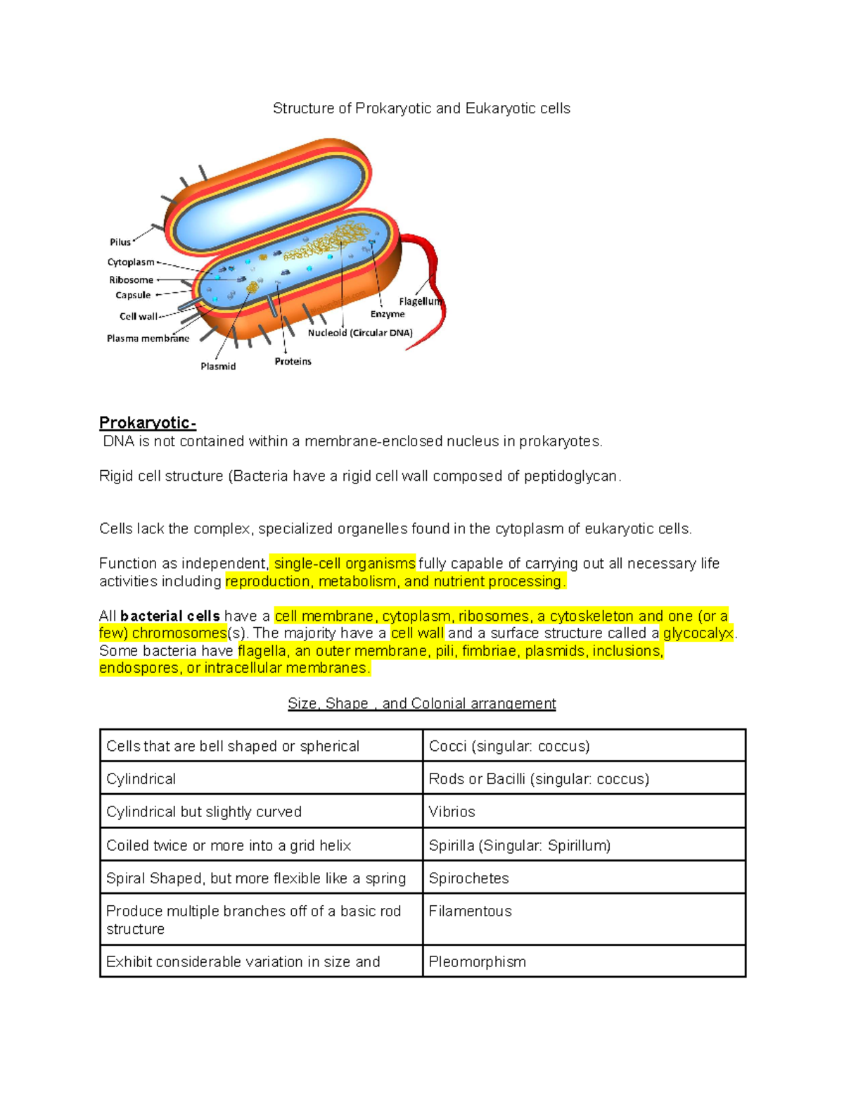 Bacteria and Archaea - Structure of Prokaryotic and Eukaryotic cells ...