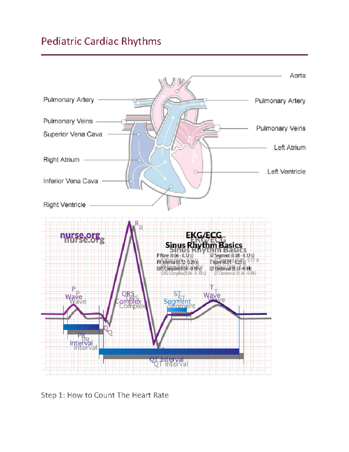 Pediatric Cardiac Rhythms - (1500/x) Large box method: count the number ...