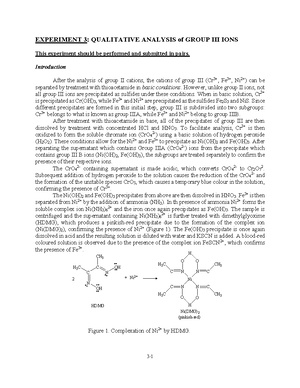 Lab 2 - Qual 2 lab - EXPERIMENT 2: QUALITATIVE ANALYSIS of GROUP II IONS This experiment should ...